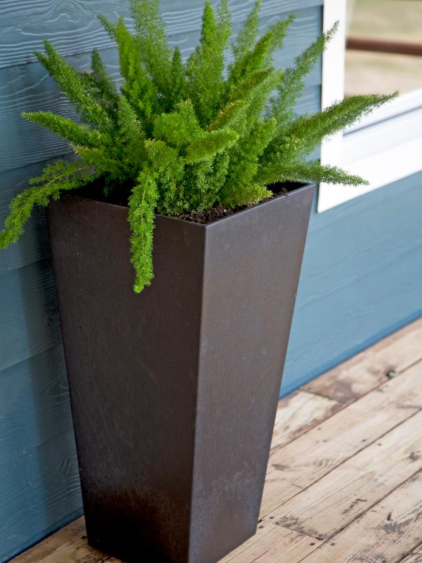 Liz Gray | HGTV