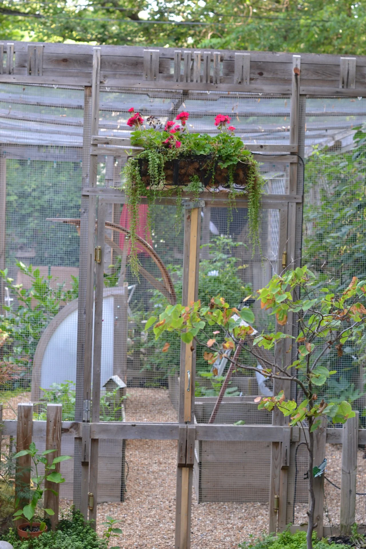 Vegetable Garden Screen Eye Candy: 10 Vegetable Gardens You'll Love To