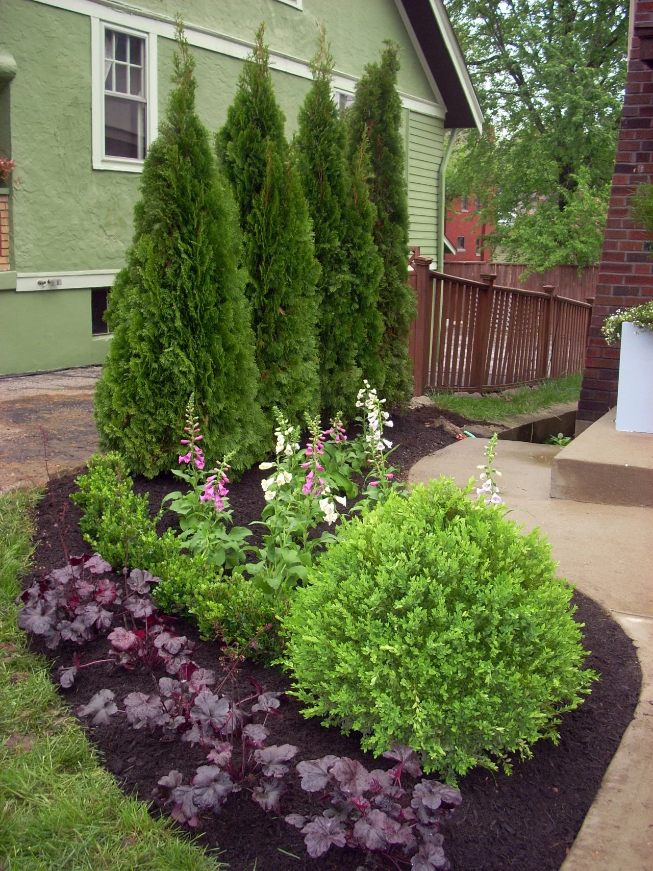 Best landscaping plants store