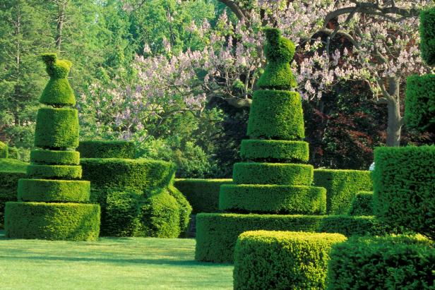 Incredible Topiaries | HGTV