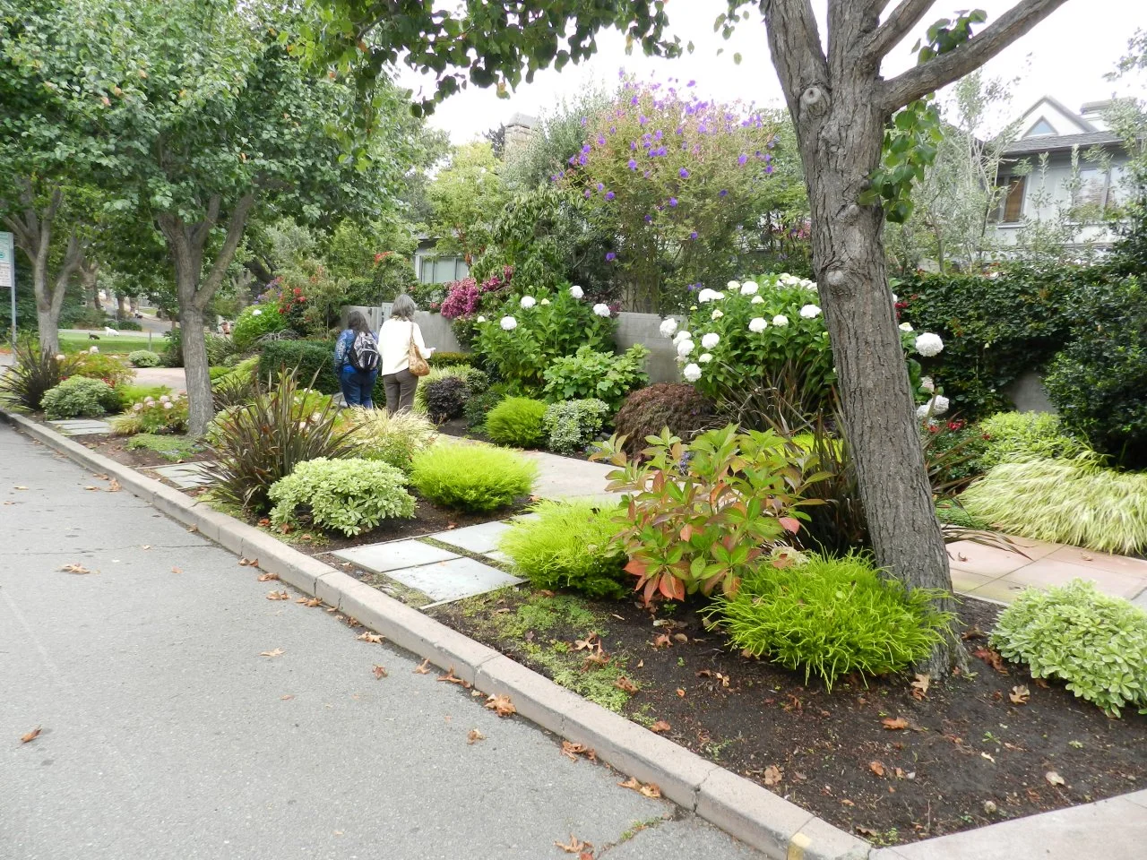 Sidewalk Landscaping Border Ideas