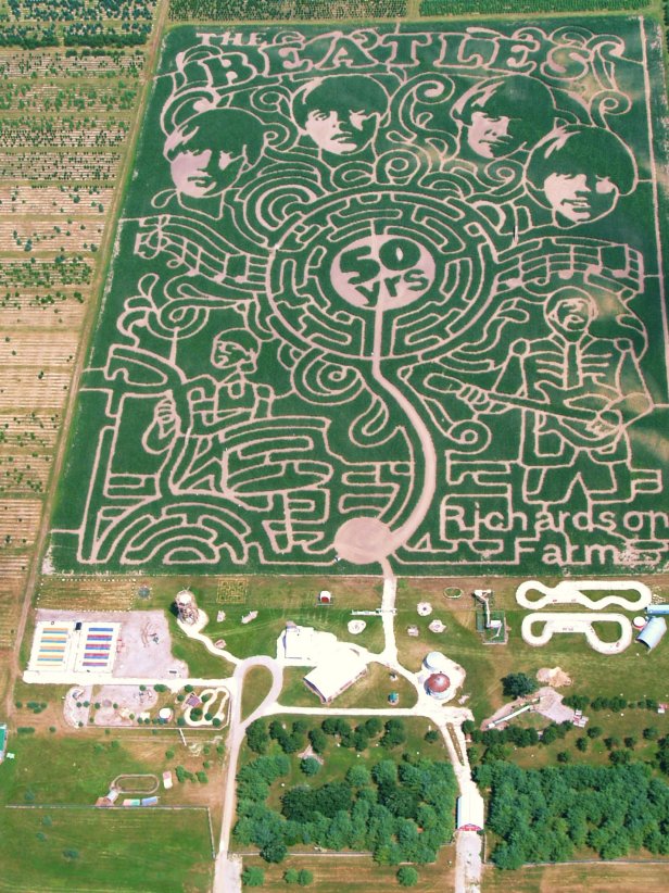 Ideas for Garden Mazes | HGTV