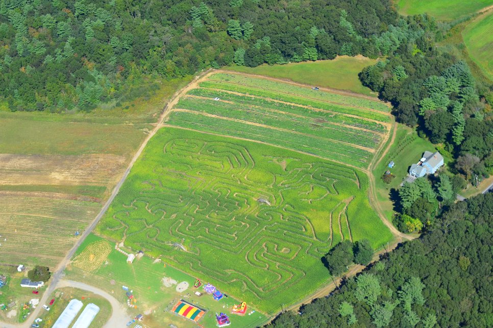 Ideas for Garden Mazes | HGTV