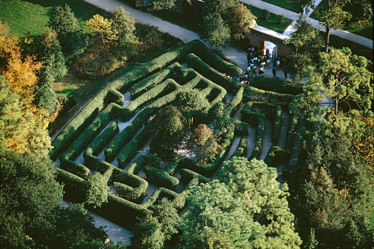 Hedge Maze Aerial