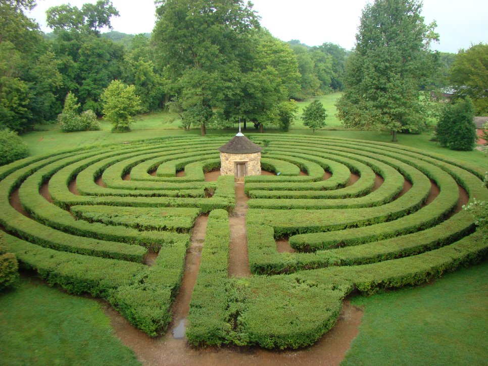 Ideas for Garden Mazes | HGTV