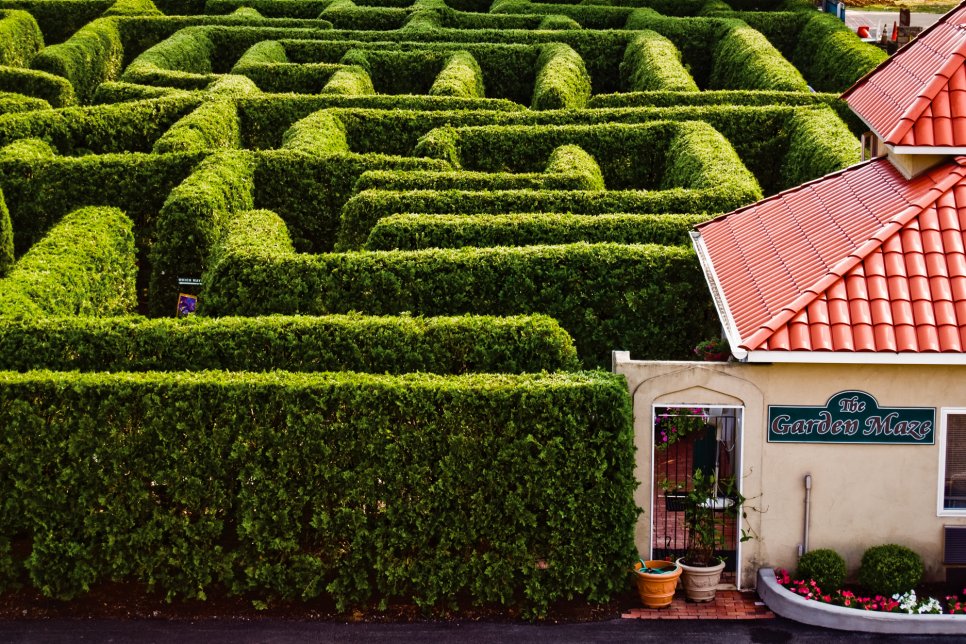 Ideas for Garden Mazes | HGTV