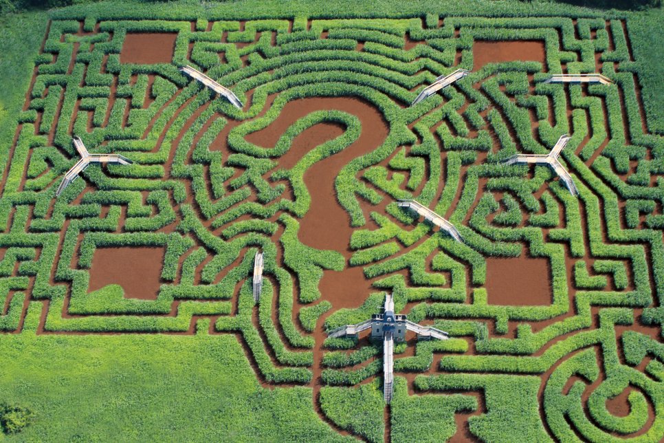 Ideas for Garden Mazes | HGTV