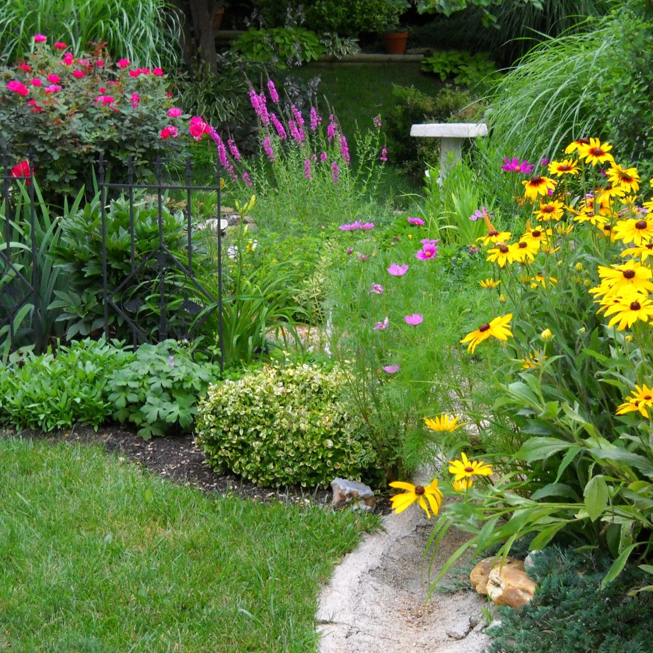 Small Rain Garden How To Create A Rain Garden The Home Depot