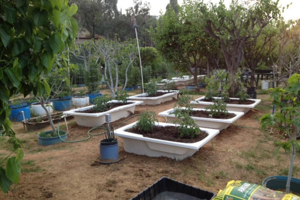 15 Crazy, Cool Container Gardens | HGTV