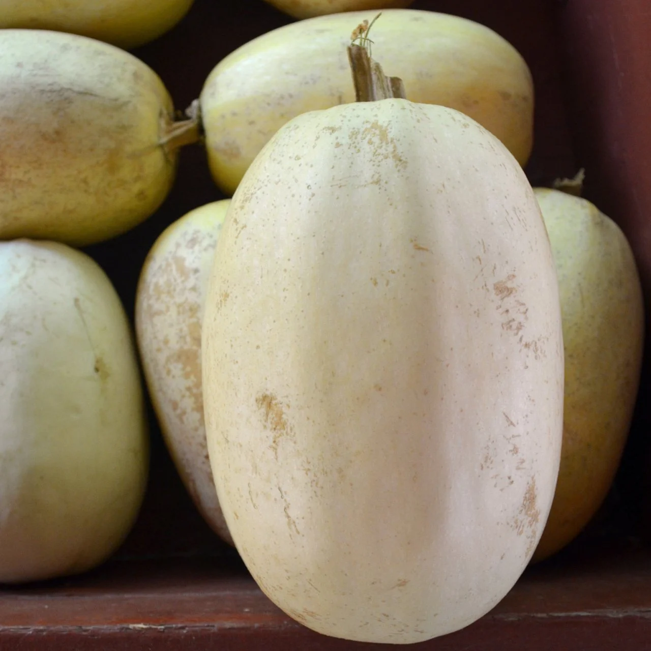Spaghetti Squash