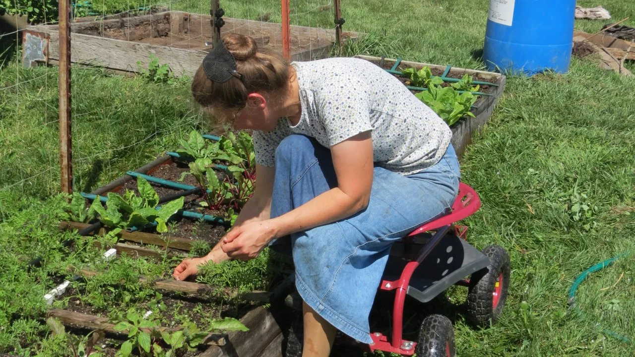 Adaptive Gardening