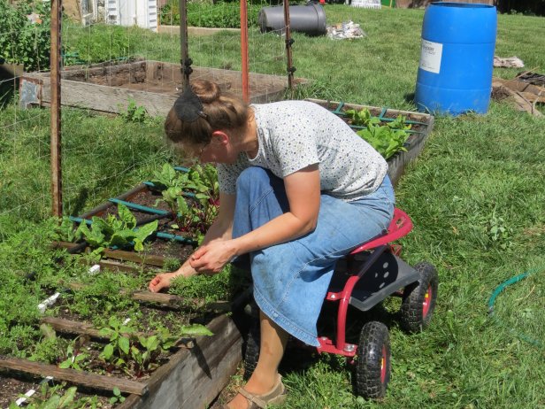 Adaptive Gardening: Techniques for Gardeners with Disabilities | HGTV