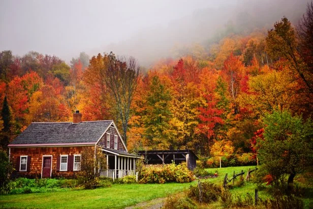 20 Fun Facts About Fall | HGTV