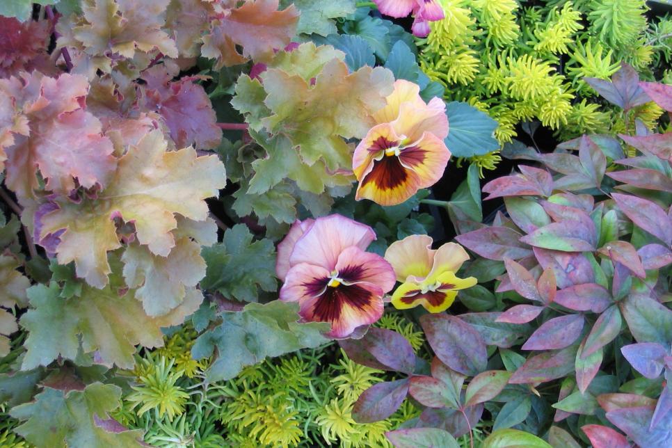 How To Prepare Your Lawn and Garden For Fall | HGTV