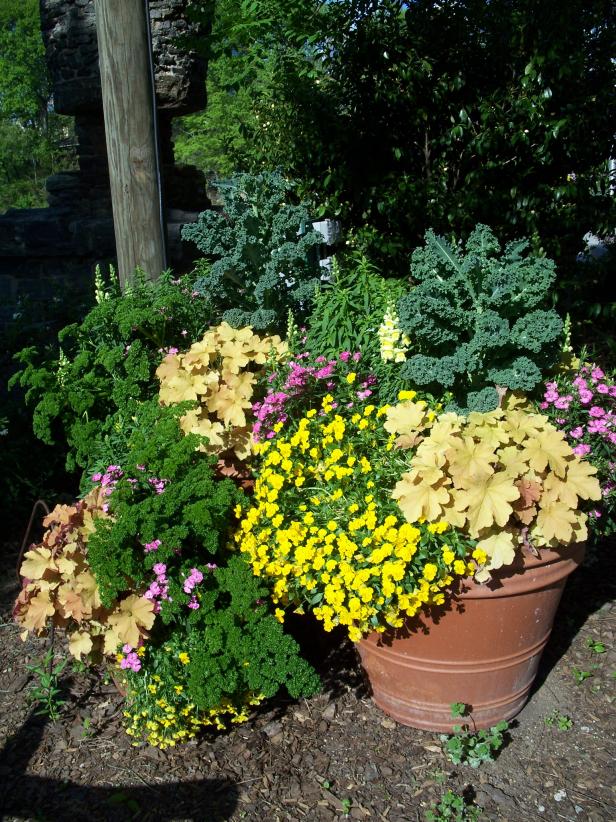 Container Garden Ideas | HGTV