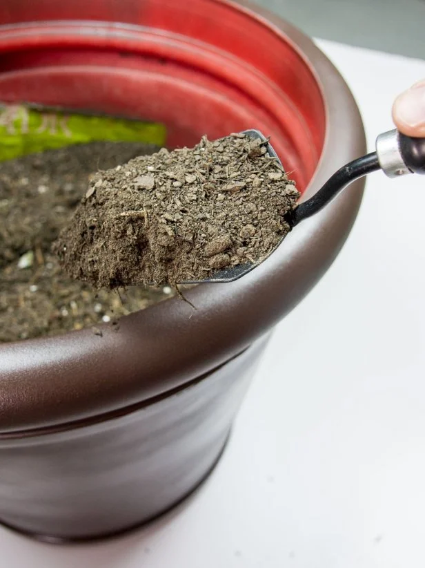 How to Improve Worn-Out Soil for Healthier Plants in Pots and Gardens ...