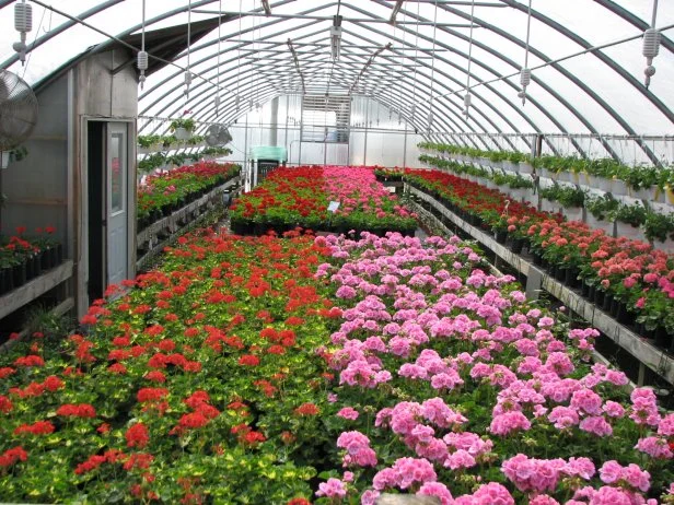 Garden Centers Across the U.S. | HGTV