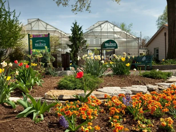 American Garden Centres