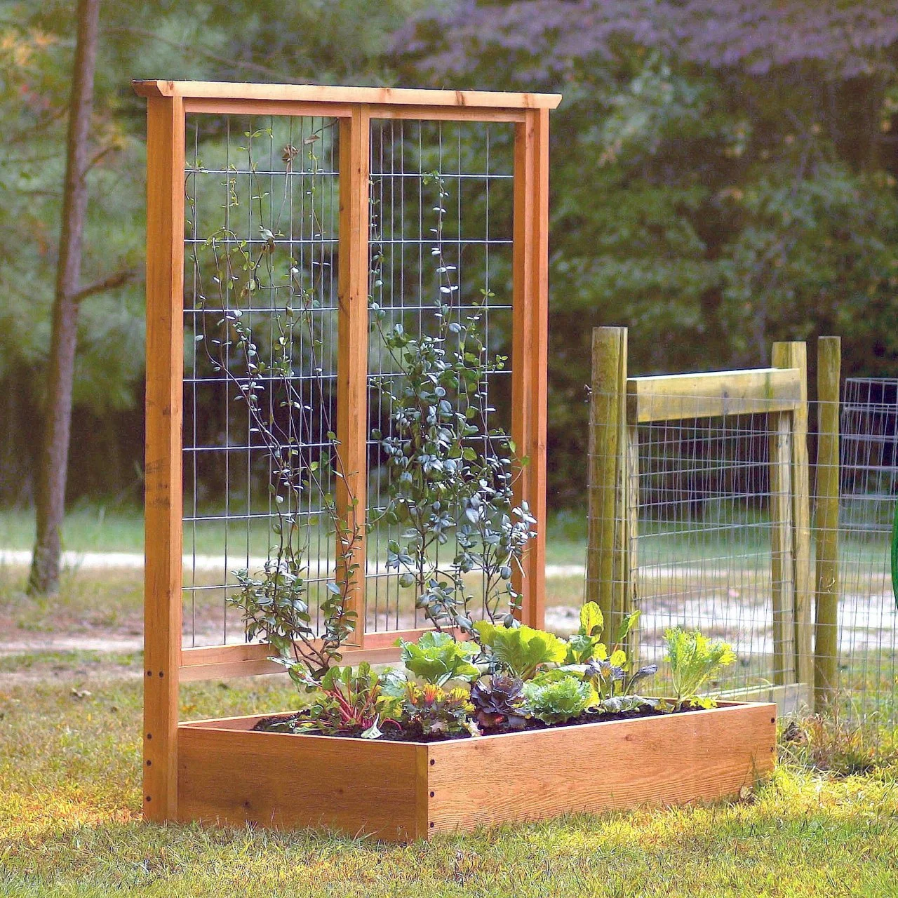 Hgtv Raised Garden Beds