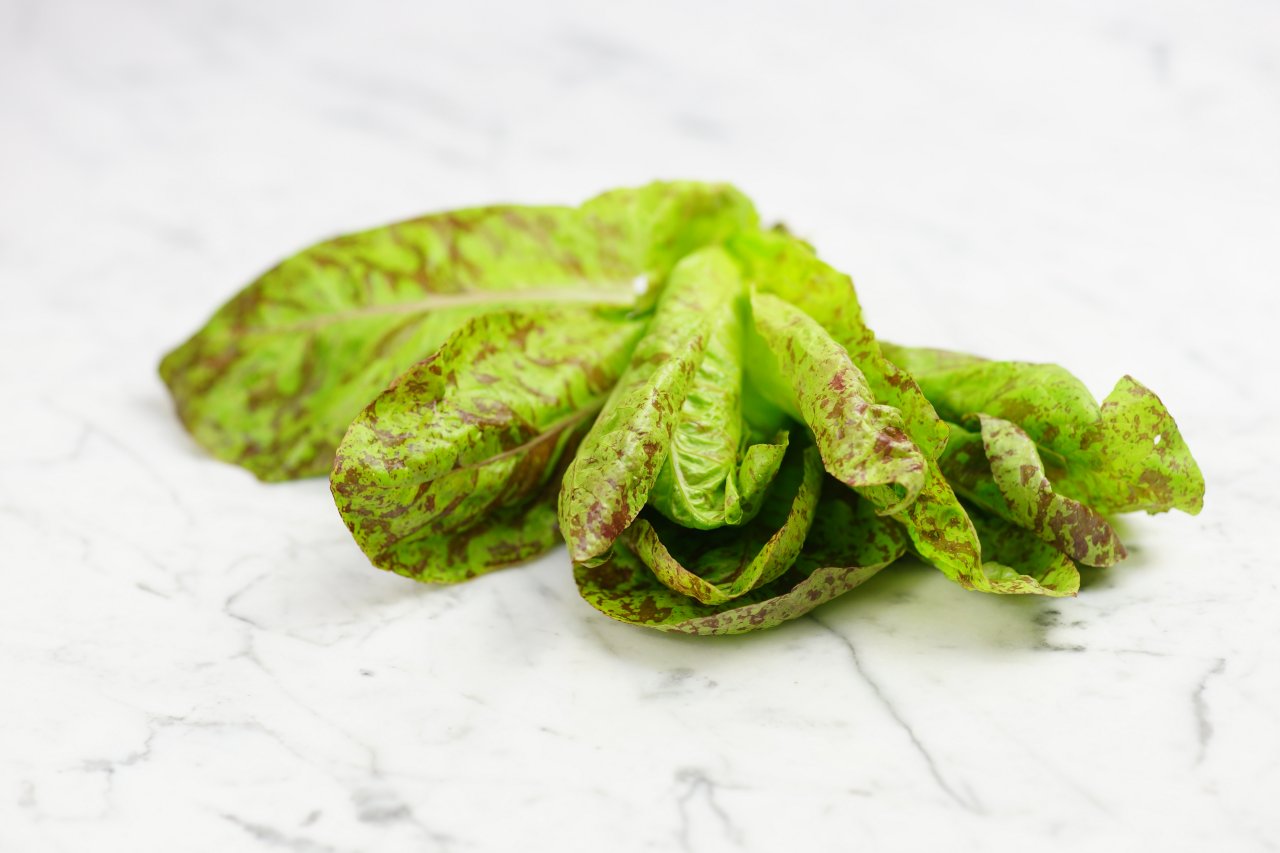 Easy Steps for Freezing Lettuce | HGTV