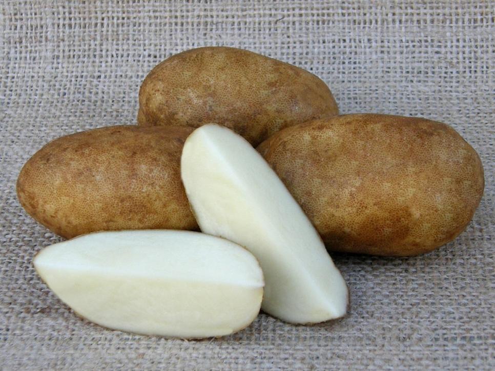 Potato Varieties and How to Grow and Use | HGTV