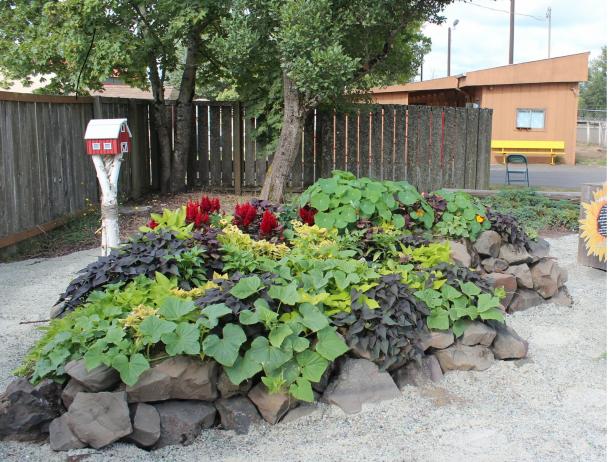 Discover Hugelkultur | HGTV