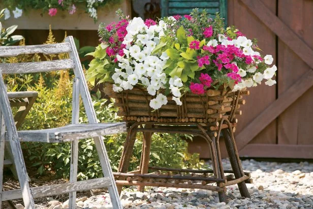 Container Gardening: Types of Containers | HGTV