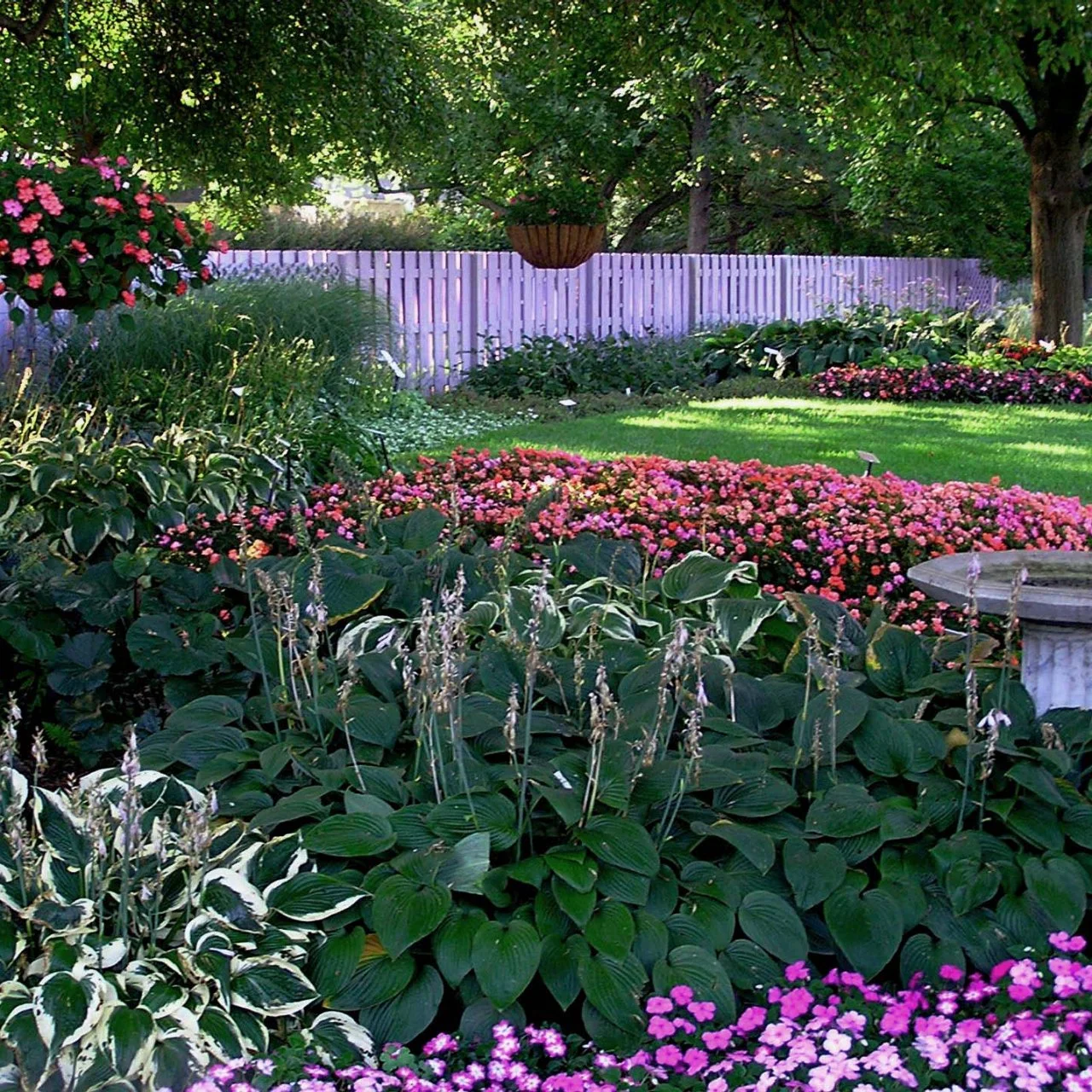 Shade Gardens Under Trees Top 10 Shade Loving Plants – Roots Plants