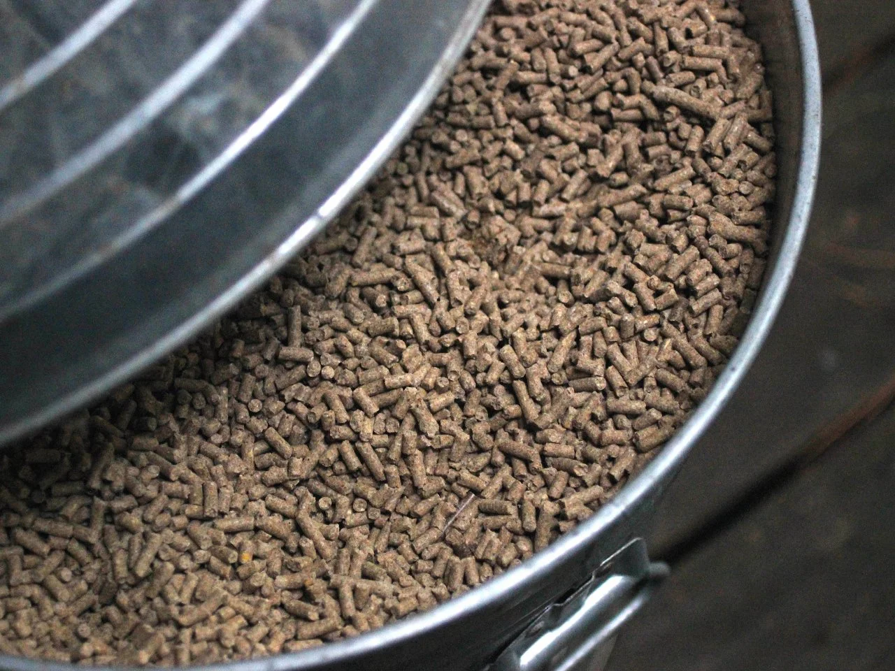 chicken feed bulk