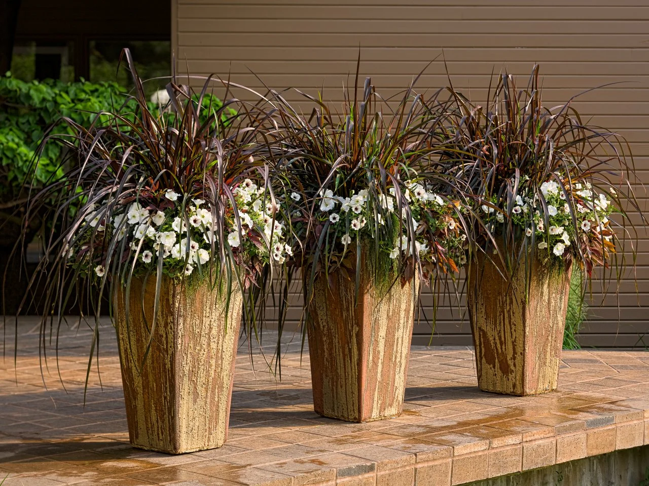 Fountain Grass Planter Combos 55 Container Gardening Ideas To Inspire,
