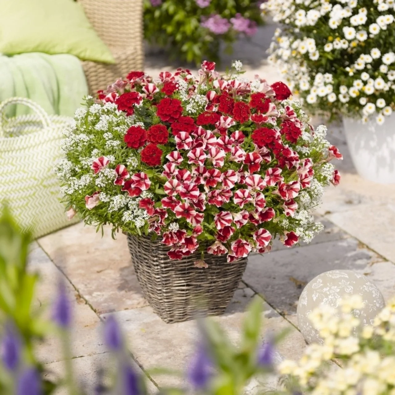 Spring Container Garden Ideas Spring Container Garden Tips And Ideas