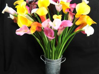 Calla Lily Flowers | HGTV