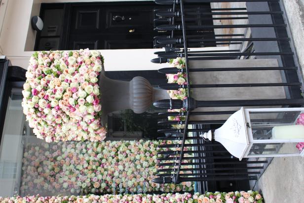 Rare Heritage and New Rose Cultivars | HGTV