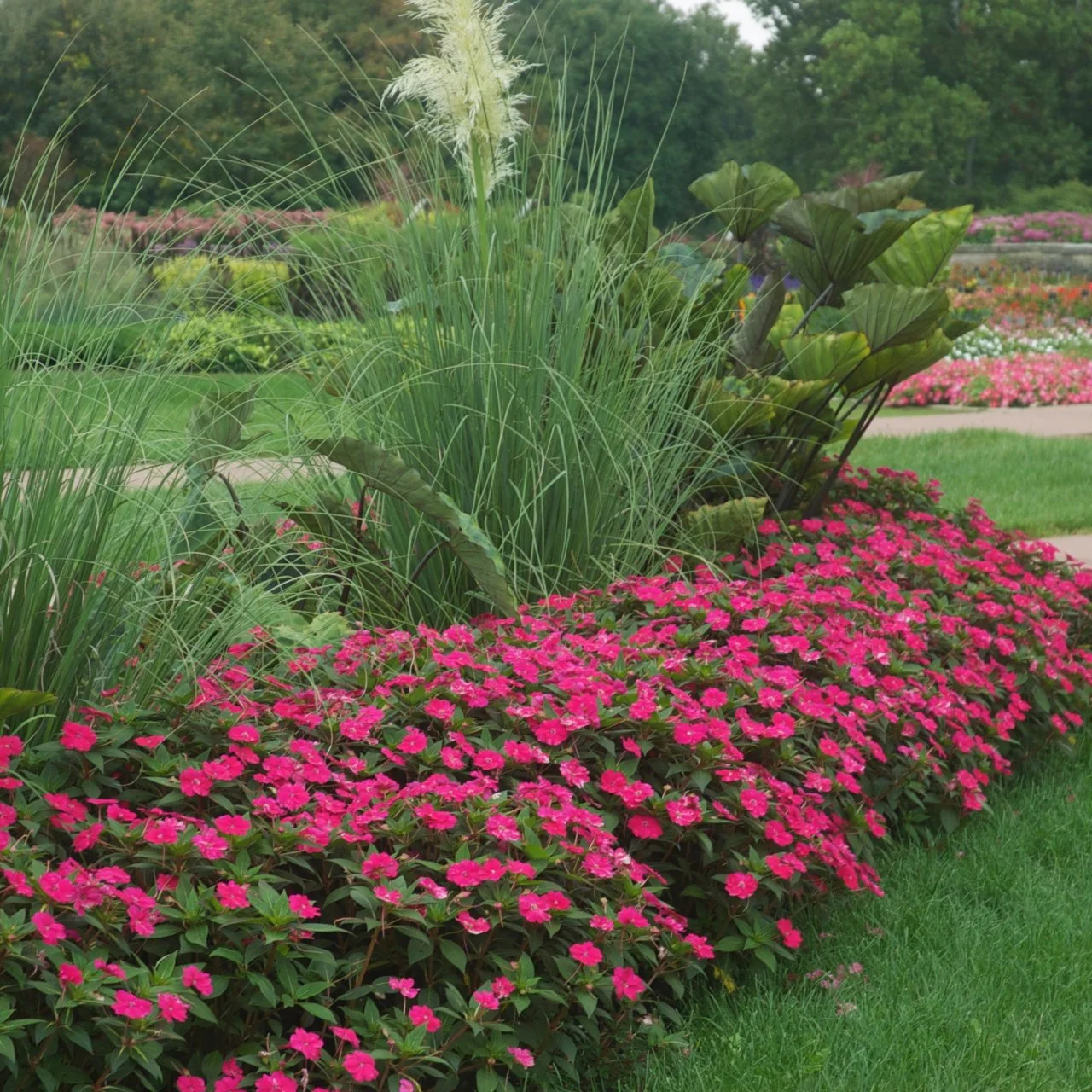 Heat Tolerant Annual Plants