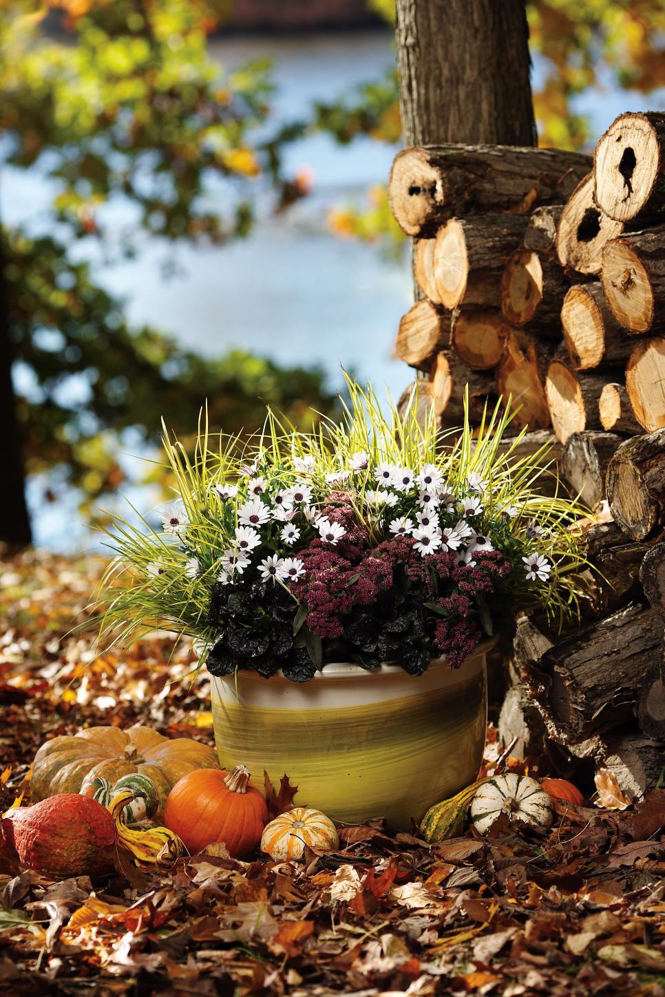 13 Fall Container Garden Recipes | HGTV