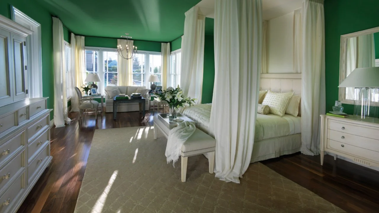 Bedroom Ceiling Canopies Pictures Options Tips Ideas HGTV
