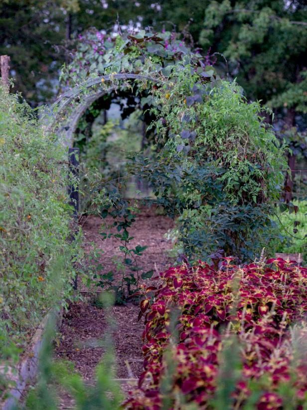 Edible Landscape Design | HGTV