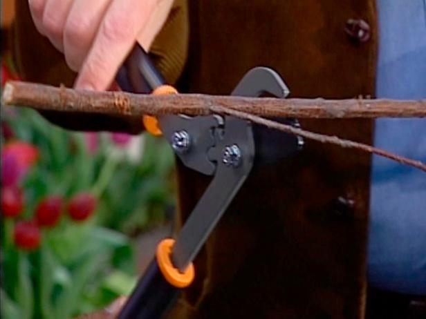 Keep Seasonal Tools in Shape | HGTV