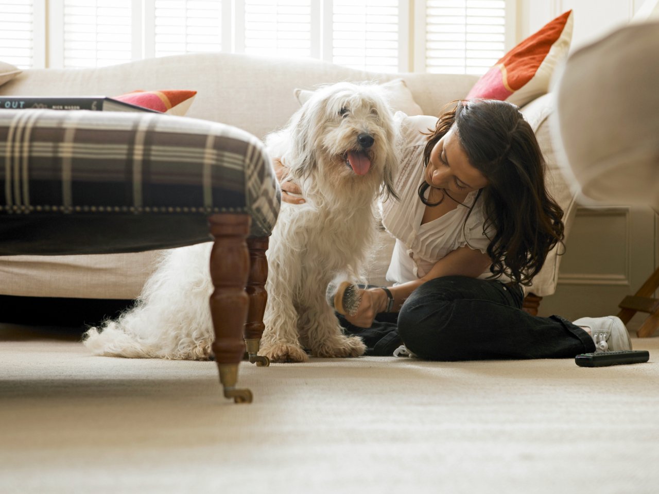 12 Ways to Pamper Your Dog | HGTV