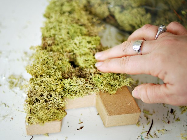 How to Make a Moss Monogram | HGTV