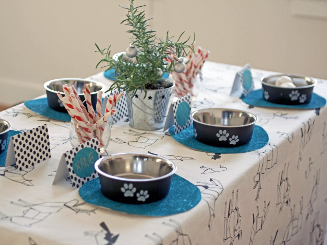 How to Host the Perfect Party for Your Pets | HGTV