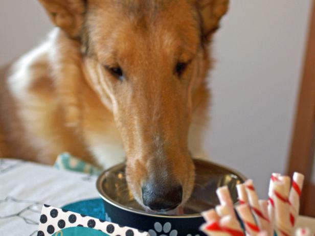How to Host the Perfect Party for Your Pets | HGTV