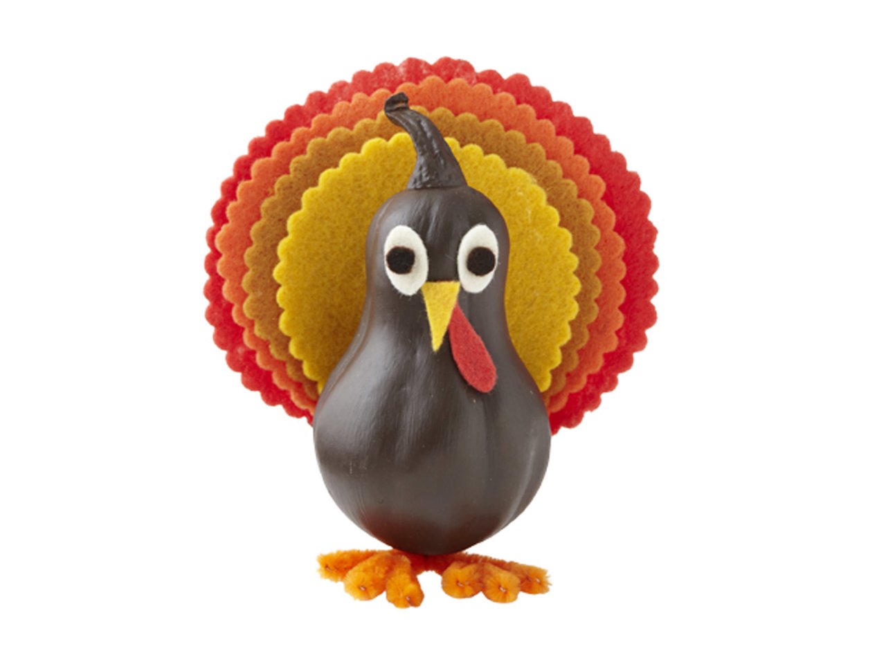 How to Make a Turkey Gourd Craft for Thanksgiving | HGTV