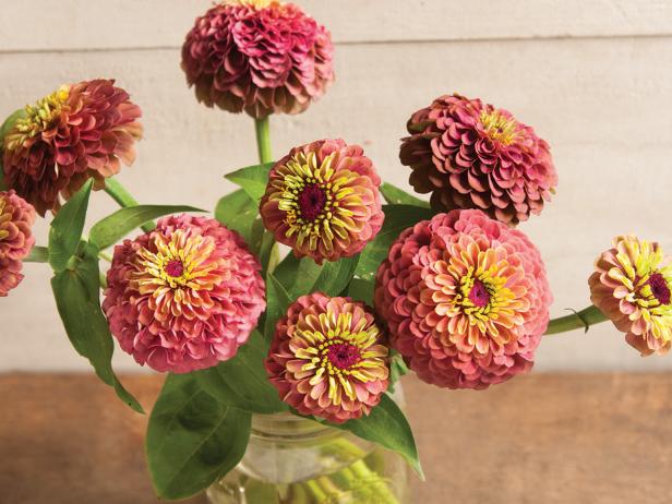 46 Unique Flower-Inspired Baby Names & Their Meanings | HGTV