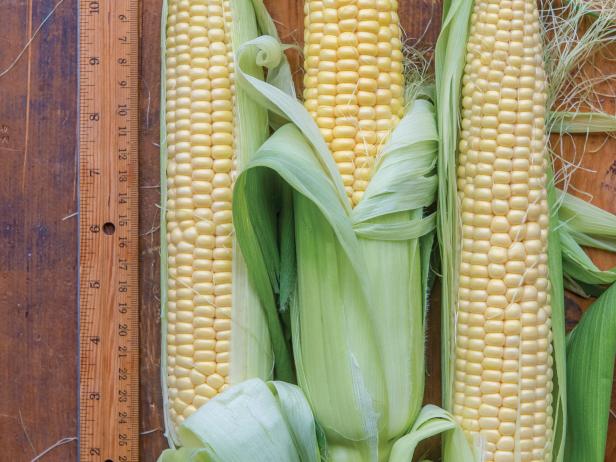 How to Grow Corn | HGTV
