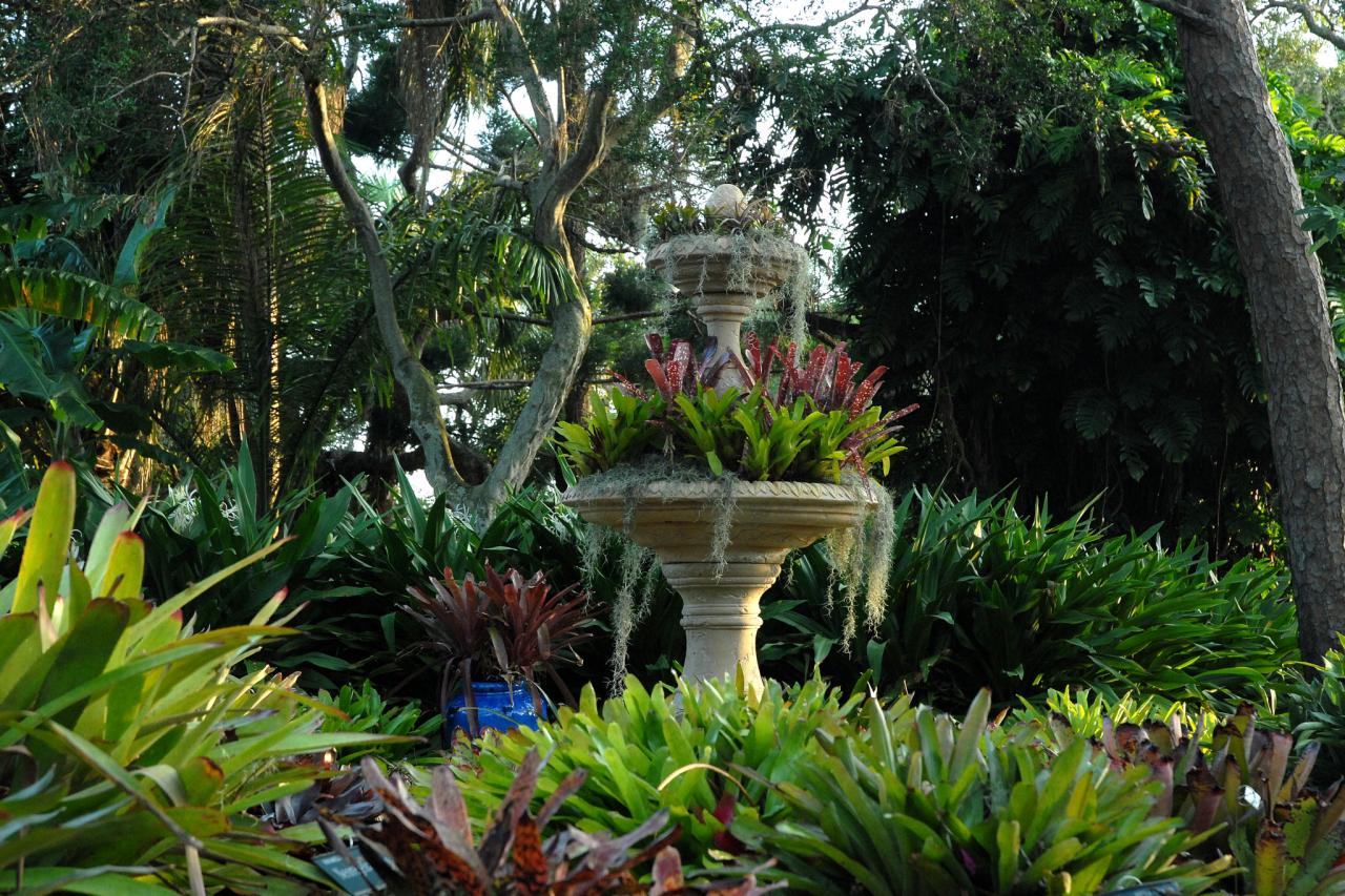 25+ Breathtaking Landscape Design With Bromeliads ~ Danielle Finch