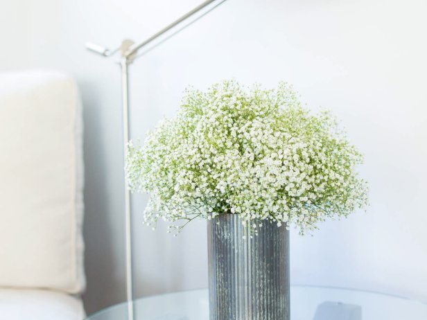 How to Grow Baby's Breath and Use it in Arrangements | HGTV