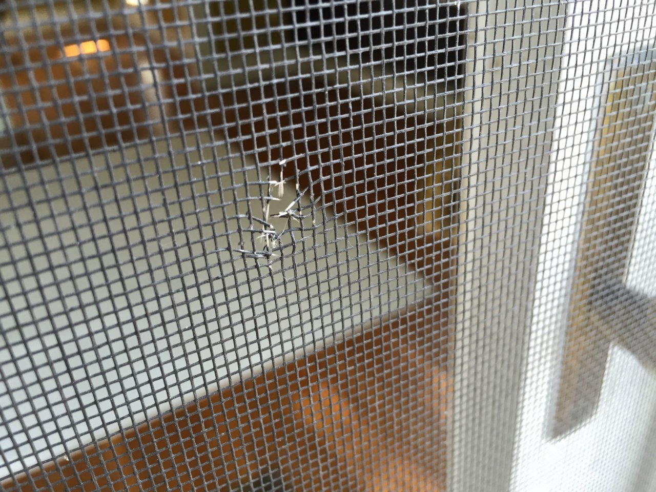 How to Repair a Screen Door or Window | HGTV