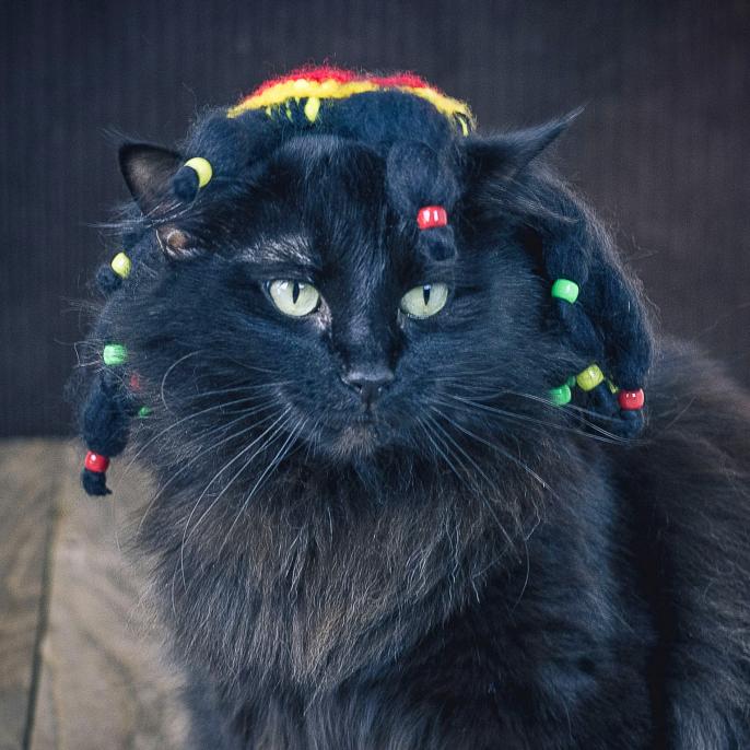 Sam Henderson | HGTV