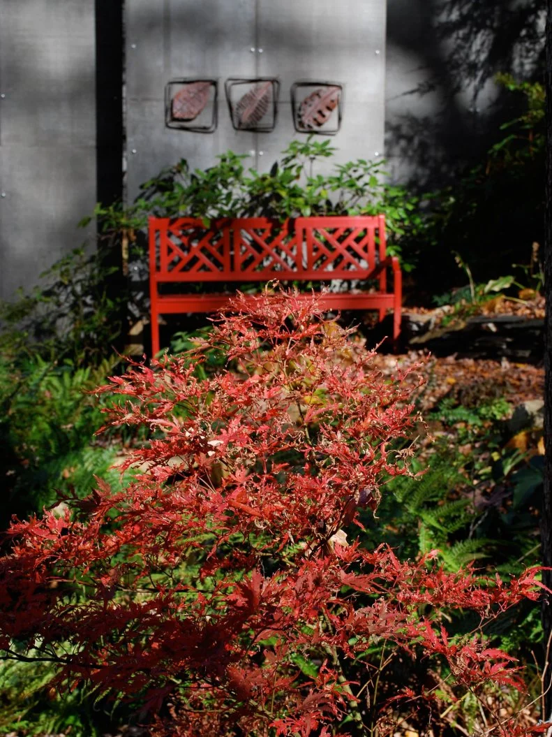 30 Stylish, Serene Garden Benches to Level Up Your Yard | HGTV